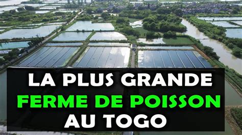 Pisciculture La D Couverte De La Plus Grande Ferme D Levage De