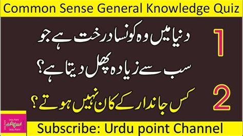 Common Sense Questions General Knowledge Quiz Top Most Questions