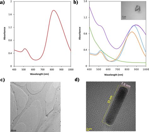 UV Vis Absorption Spectra Of Synthesized Gold Nanorods A UV Vis
