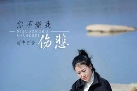 雨中百合最好听的十首歌原唱