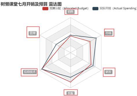 echarts 雷达图 代码实例 树懒学堂