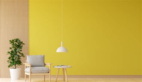 Living Room Colour Ideas In India Baci Living Room