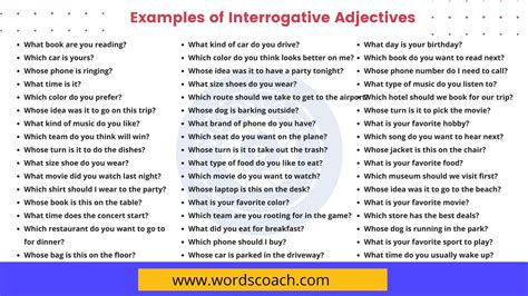 100 Examples Of Interrogative Adjectives Word Coach