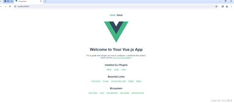 脚手架vue cli自定义创建vue项目，完整详细步骤！ vue自定义创建项目 csdn博客