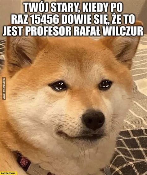 Zawsze Wzruszony Joe Monster