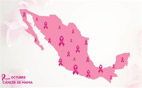 Inegi publica estadísticas sobre el cáncer de mama en México Grupo Milenio