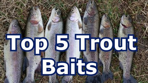 Best 5 Baits For Trout YouTube