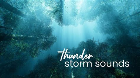 Thunder Sounds Leave Your Stresses Behind Relaxation YouTube