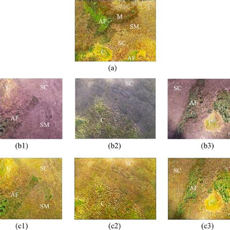 colour correction using n dimensional pdf algorithm a target image download scientific