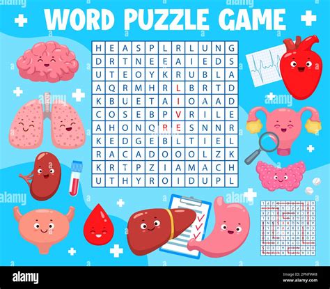 Word Search Puzzle Game Cartoon Body Organ Characters Vector Worksheet