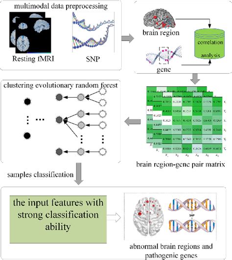 figure 1 from multimodal data analysis of alzheimer s disease based on clustering evolutionary