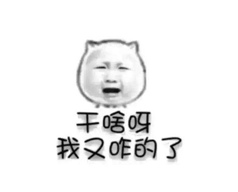 干啥呀我又咋的了 表情图片 25H NET壁纸库