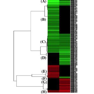 Hierarchical Cluster Analysis Of Differentially Expressed Genes In