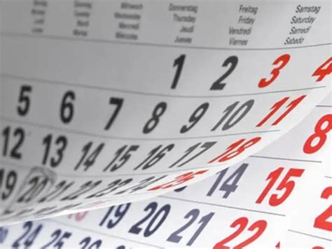 Feriados 2024 cuándo y que día cae el fin de semana largo de febrero