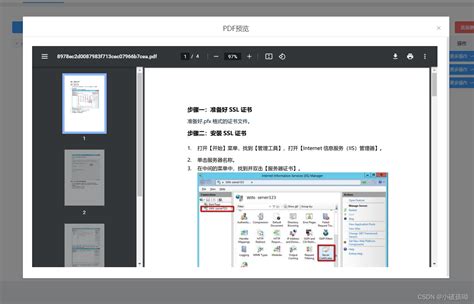 vue中预览pdf文档 vue js 小破孩呦 gitcode 开源社区