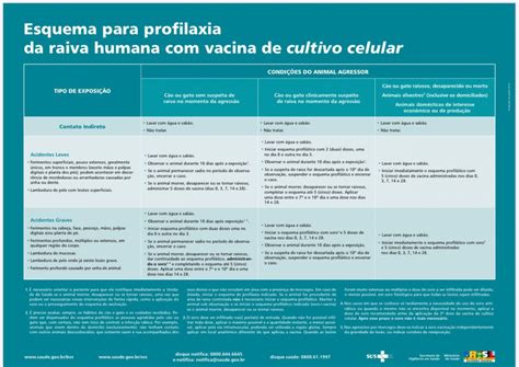 Rede municipal está desabastecida de soro antirrábico por falta de