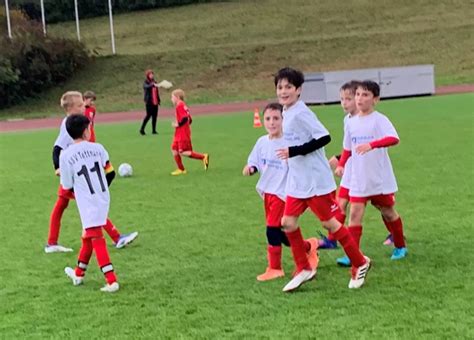 Tsv Tettnang Fussball News