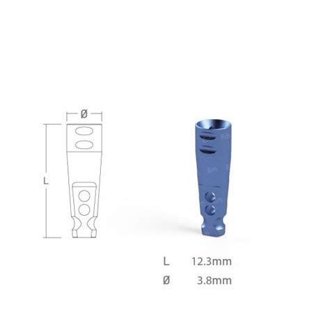 Dental Lab Analog CortexDynamix Int Hex RP UAE