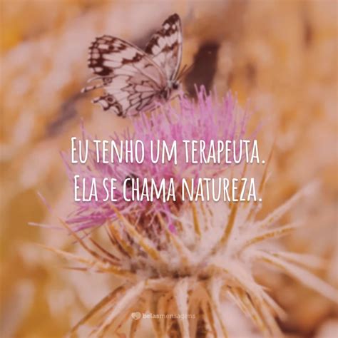 Frases Da Natureza Selvagem LIBRAIN