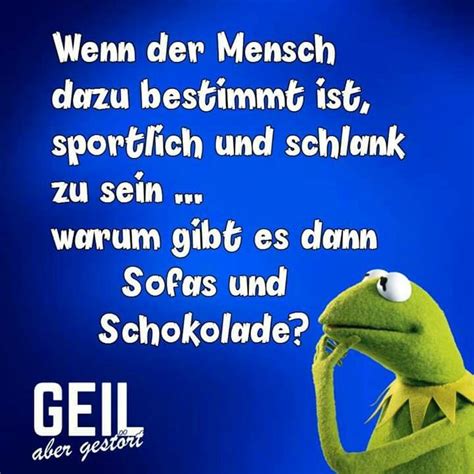 Pin von Anna Schieble auf Kermit der frosch Lustige sprüche bilder