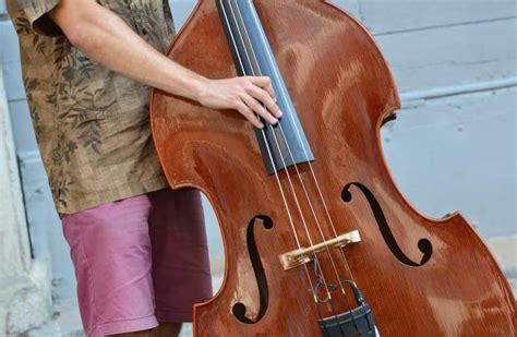 Instrumentos de cuerda pulsada definición y ejemplos2023