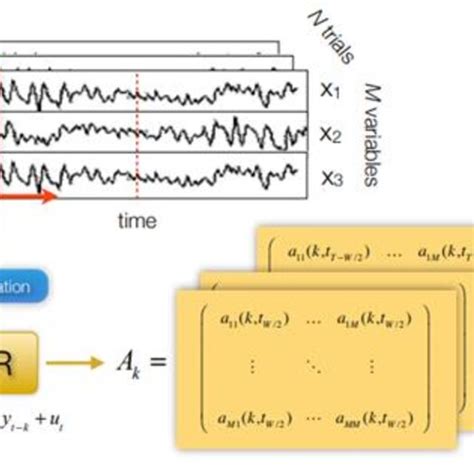 adaptive multivariate autoregression amvar model diagram download scientific diagram