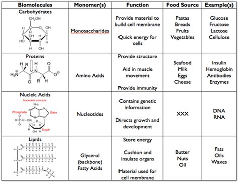 Carbohydrates