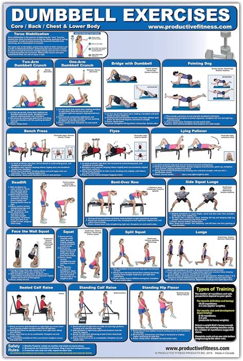 Best Free Printable Dumbbell Workout Poster Printablee Themeloader