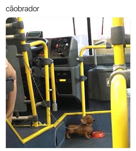 Quando Vc Fica Algu M E Se Arrepende Ningu M Precisa Saber O Que