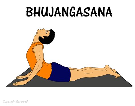 Bhujangasana Benefits Steps And Benefits Steps 101yogasan