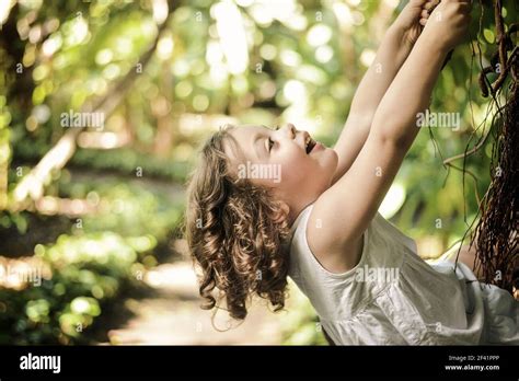 Enfant Grimper Sur Un Arbre Banque De Photographies Et Dimages Haute
