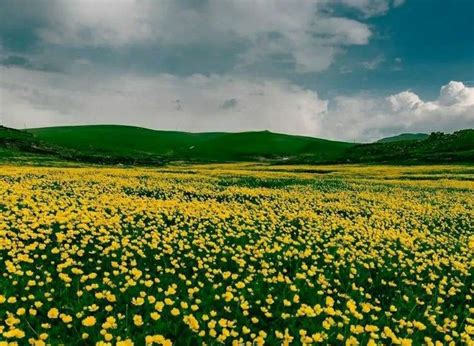 Neset Arici adlı kullanıcının DUVARA YAKIŞANLAR panosundaki Pin Duvar