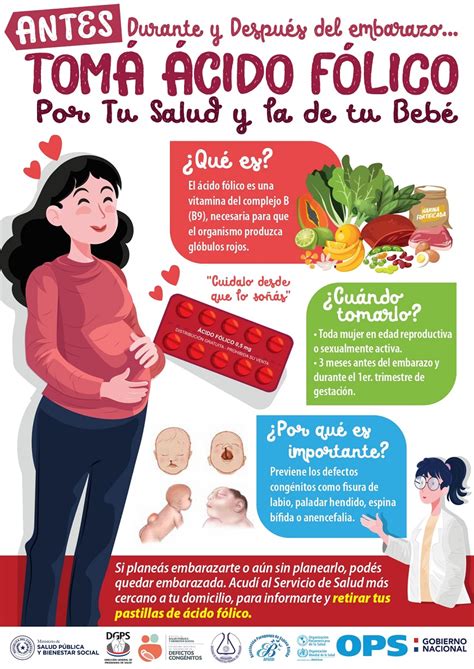 Por Qu Es Importante Tomar Cido F Lico Durante El Embarazo Unicanal