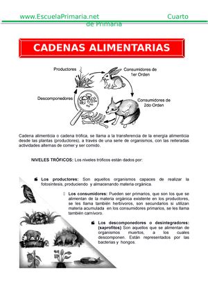 Prueba modelo de CTA examen Ciencia Tecnología y Ambiente