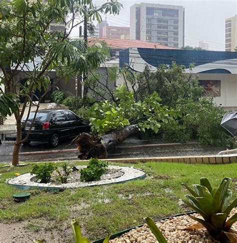 Fortaleza Rvore Cai Em Rua Do Bairro Aldeota Ap S Fortes Chuvas
