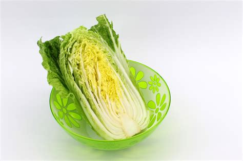 Beijing Cabbage Chinese Free Photo On Pixabay