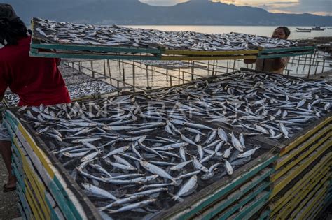 PERTUMBUHAN PRODUKSI PERIKANAN TANGKAP NASIONAL ANTARA Foto