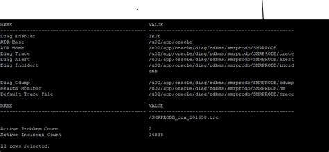 Oracle Database Commands And Practical Examples Oracle 12c ADCRI