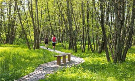 DEKD 2023 Vodeni ogled poti po močvari Visit Pomurje Kjer