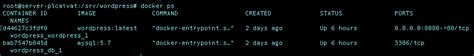 dockerize wordpress with docker compose gridscale