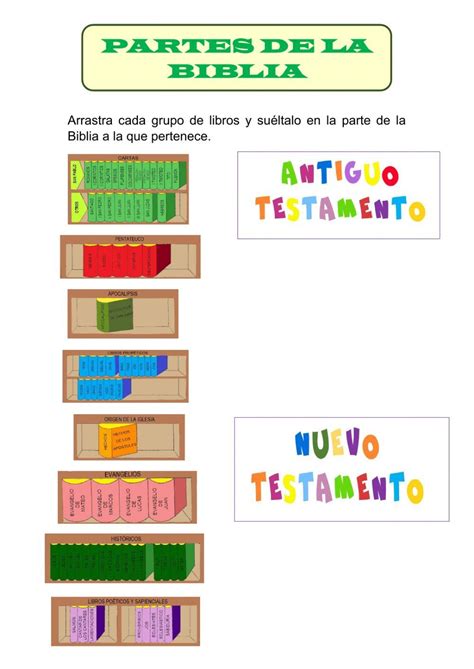 Ejercicio De Las Partes De La Biblia Conjuntos De Libros Lecciones