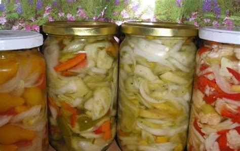 Recept Mije Ana Salata Za Zimu Ili Preljev Za Sve Vrste Zimnice