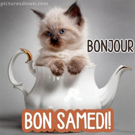 Bonjour Samedi Image Chat