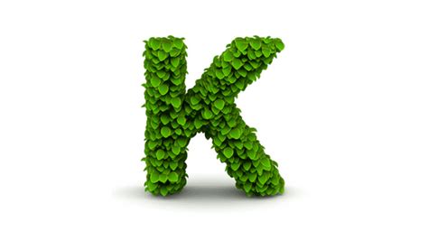 Positive Words That Start With K With Definitions