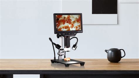 Microscope numérique Guide d achat atouts et utilisation