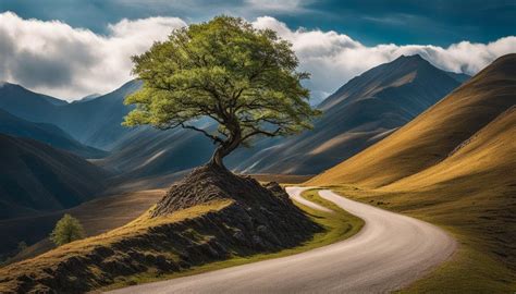 Inspiring Controlling Your Mind Quotes For Daily Motivation