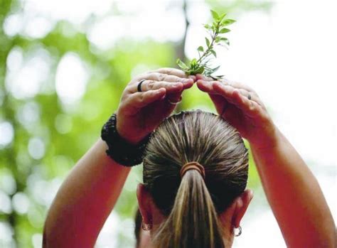 Biboca Ambiental Benze O O Que Isto