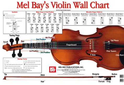 Beginners Guide To Violin