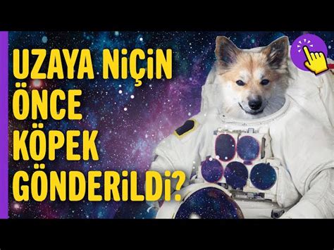 Uzaydaki Ilk Hayvan Laika