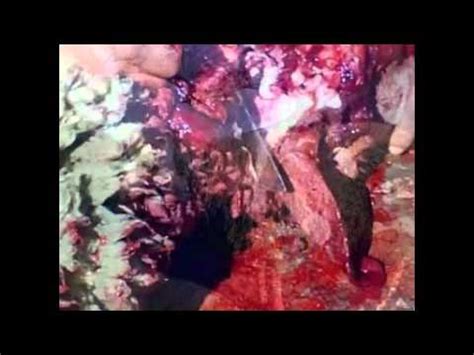 Laid Elkebir Youtube